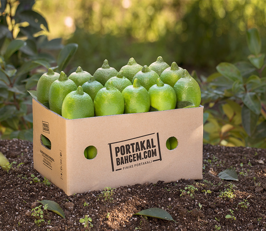 Lamas Limon 1 Kg | Finike Portakalı, PortakalBahcem.com’dan doğal ...