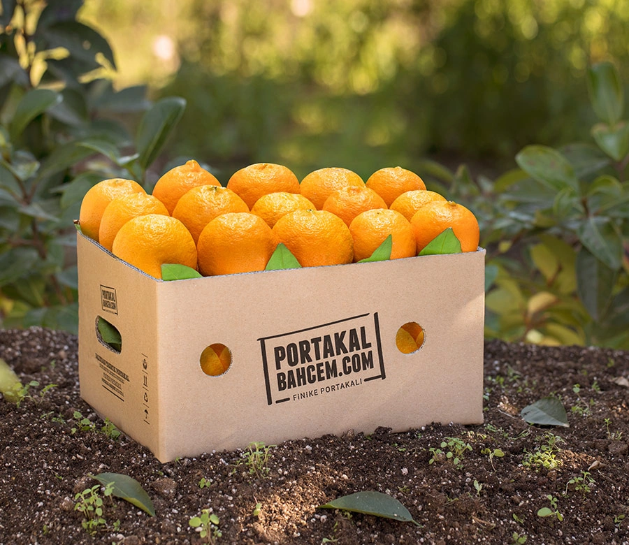 Rimona Limon 3 Kg | PortakalBahçem Teruarında Yetiştirdiğimiz ...